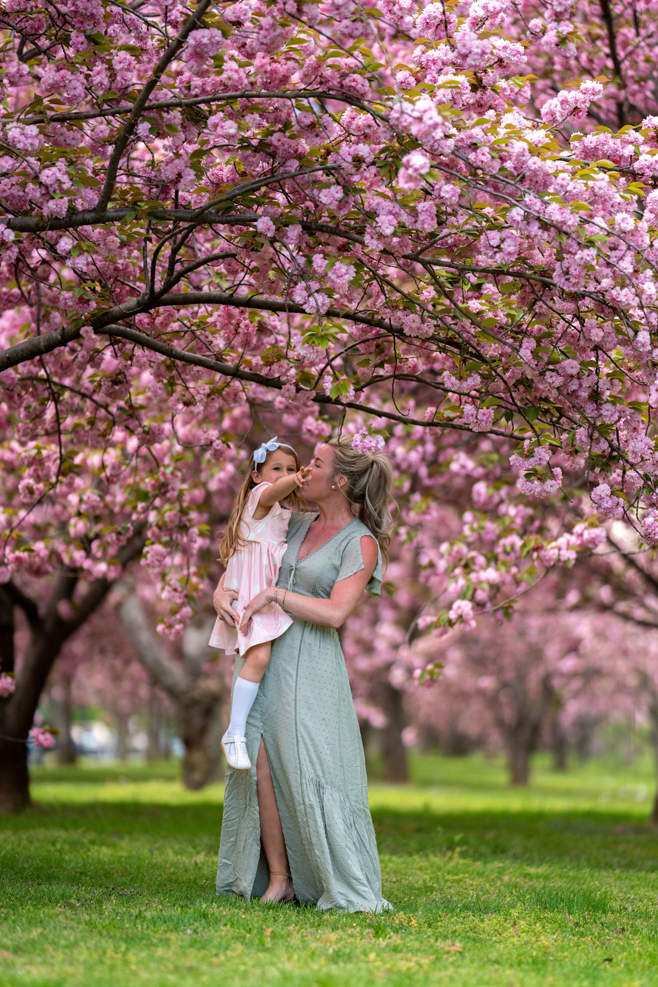 CHERRY BLOSSOMS IN D.C. AND NORTHERN VIRGINIA - KSBJ PHOTOGRAPHY CHERRY ...