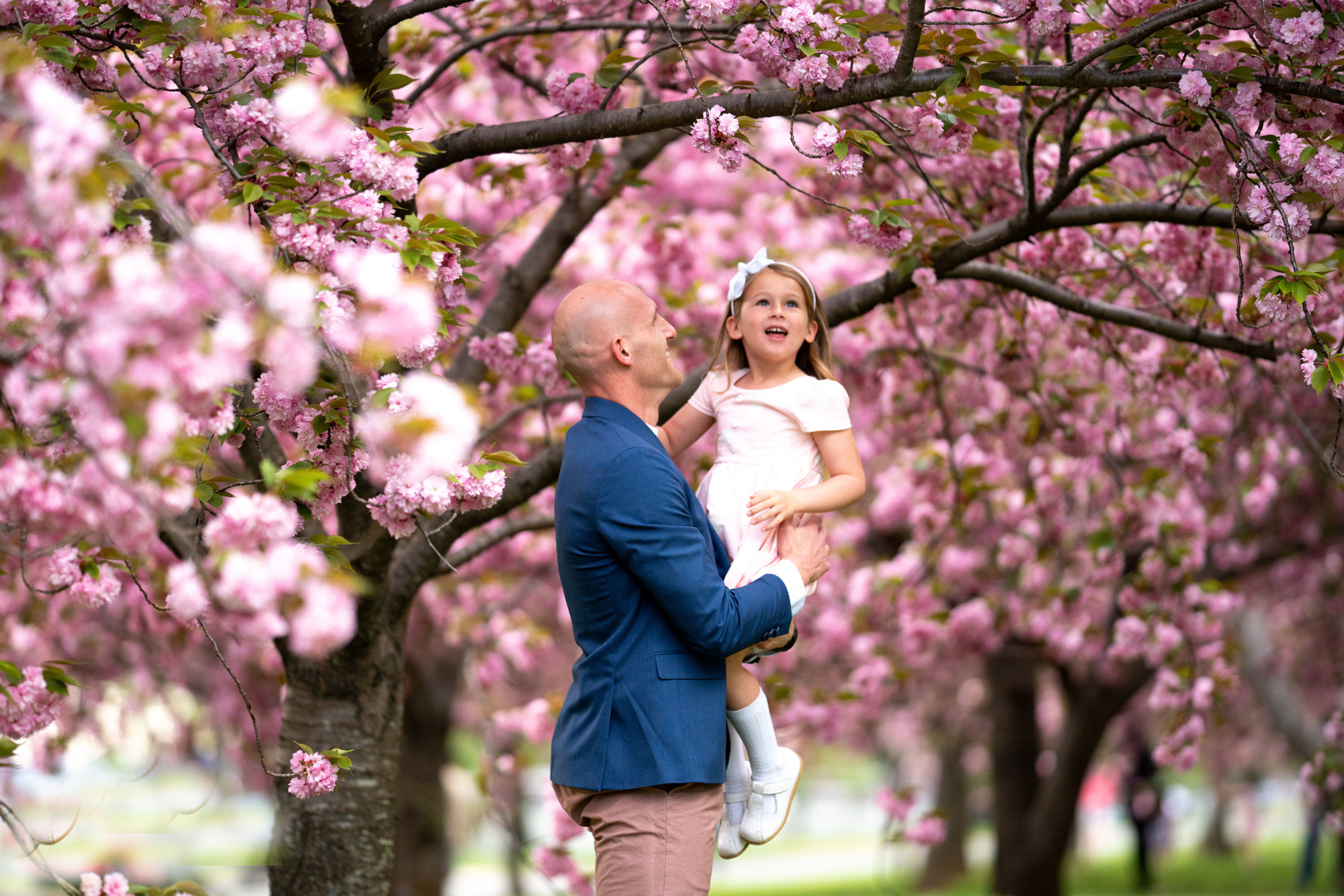 CHERRY BLOSSOMS IN D.C. AND NORTHERN VIRGINIA - KSBJ PHOTOGRAPHY CHERRY ...
