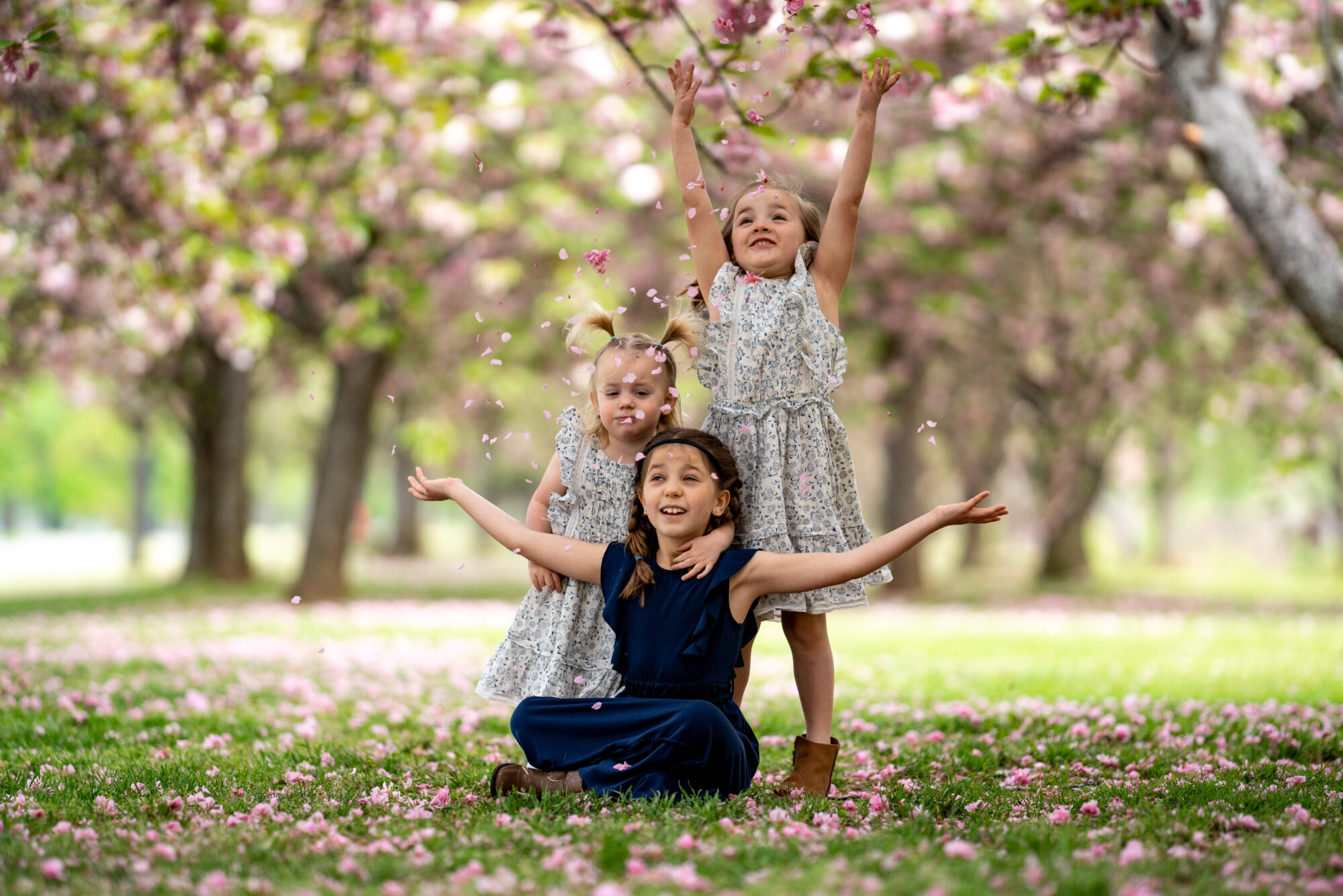 Cherry Blossoms in Northern Virginia and DC metro - KSBJ PHOTOGRAPHY ...