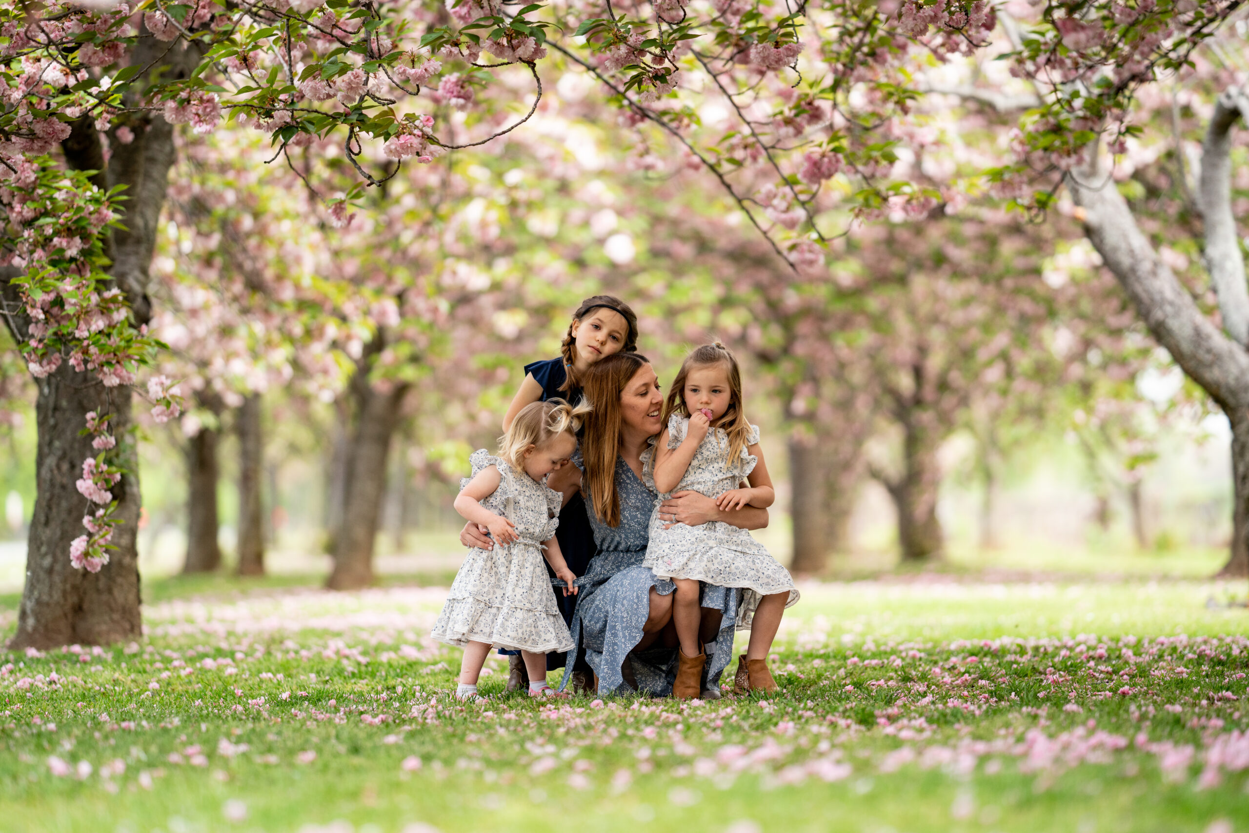 Cherry Blossoms in Northern Virginia and DC metro - KSBJ PHOTOGRAPHY ...