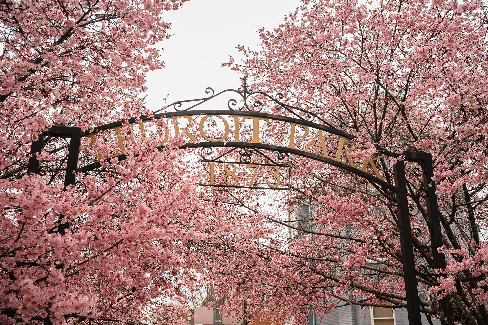 KSBJ PHOTOGRAPHY, LLC | NORTHERN VIRGINIA | CITY OF FAIRFAX